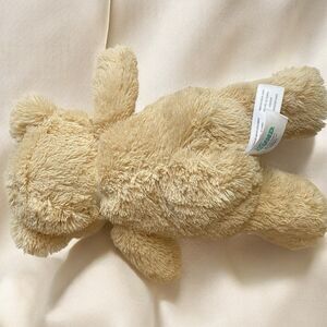 Gund | Toys | Baby Gund My First Teddy Plush Tan Bear Stuffed Animal ...